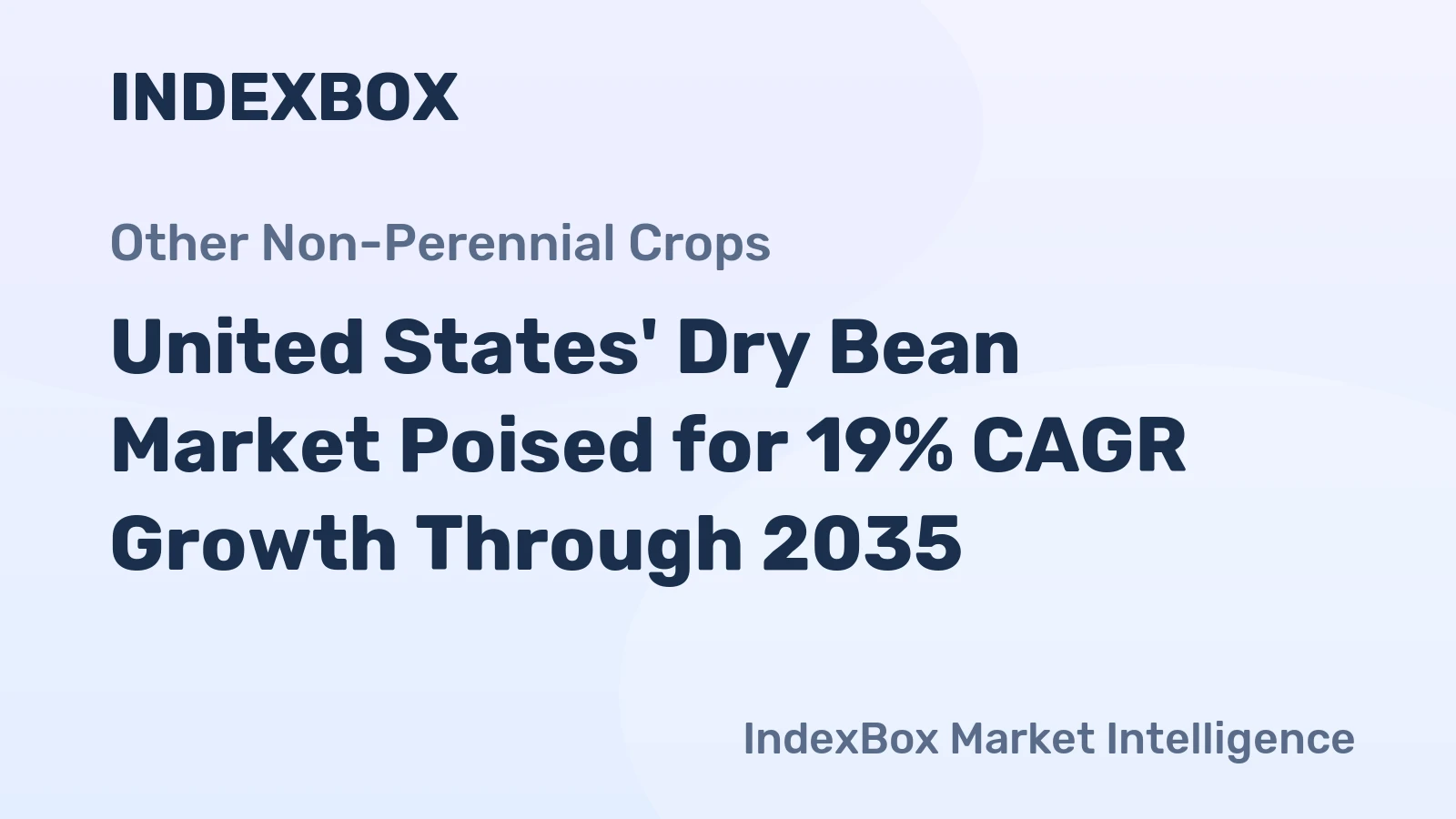 United States' Dry Bean Market Poised for 19% CAGR Growth Through 2035