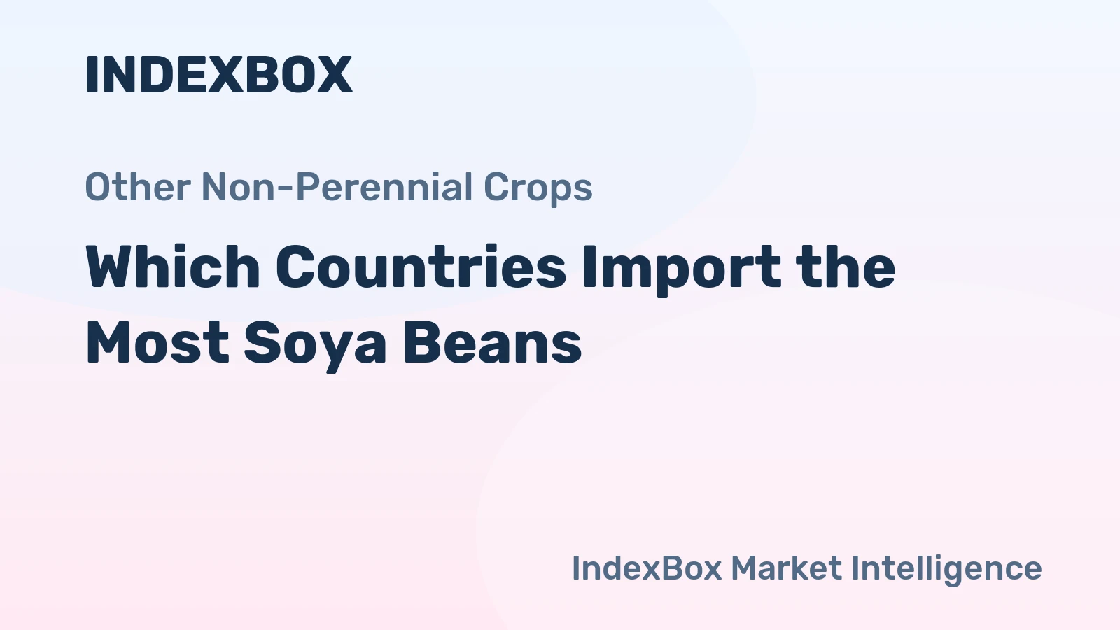 Which Countries Import the Most Soya Beans?