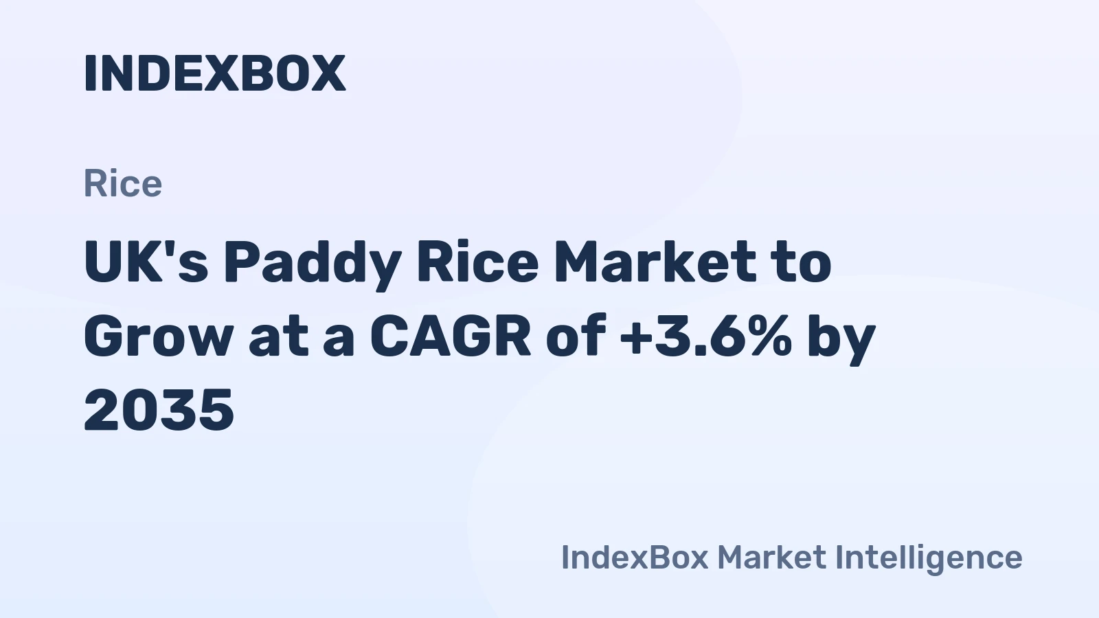UK's Paddy Rice Market to Grow at a CAGR of +3.6% by 2035