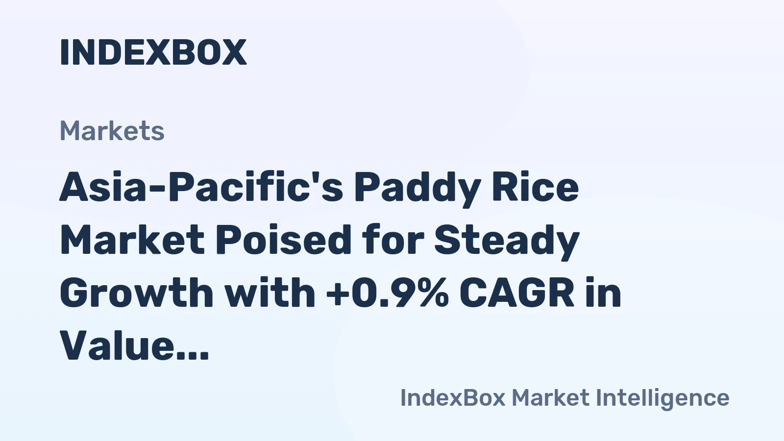 Asia-Pacific's Paddy Rice Market Poised for Steady Growth with +0.9% CAGR in Value