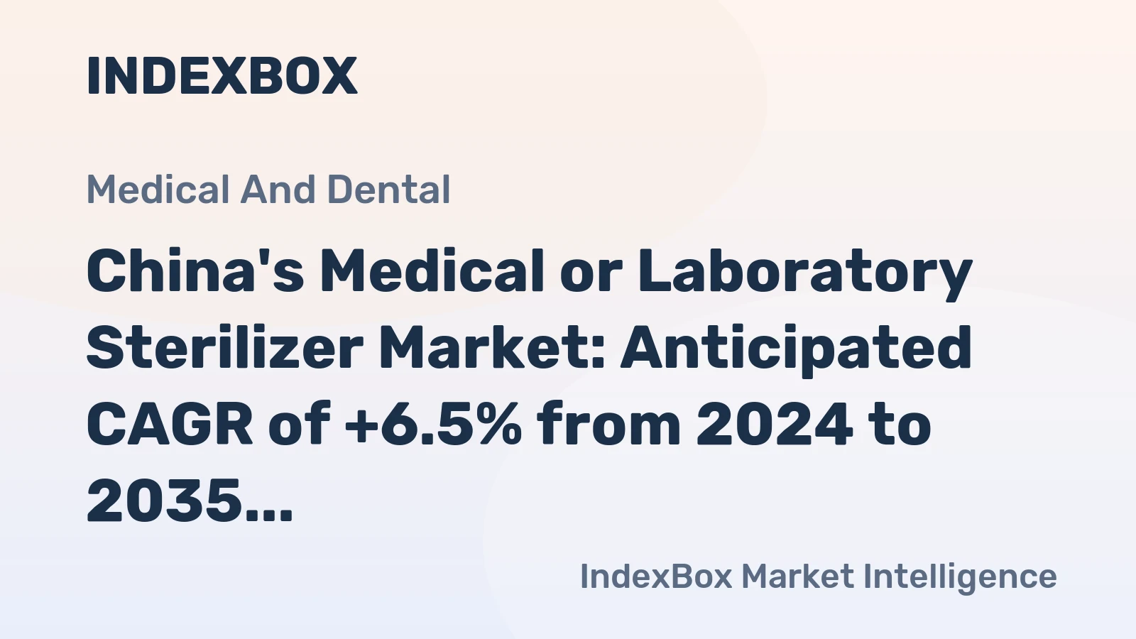 China's Medical or Laboratory Sterilizer Market: Anticipated CAGR of +6.5% from 2024 to 2035