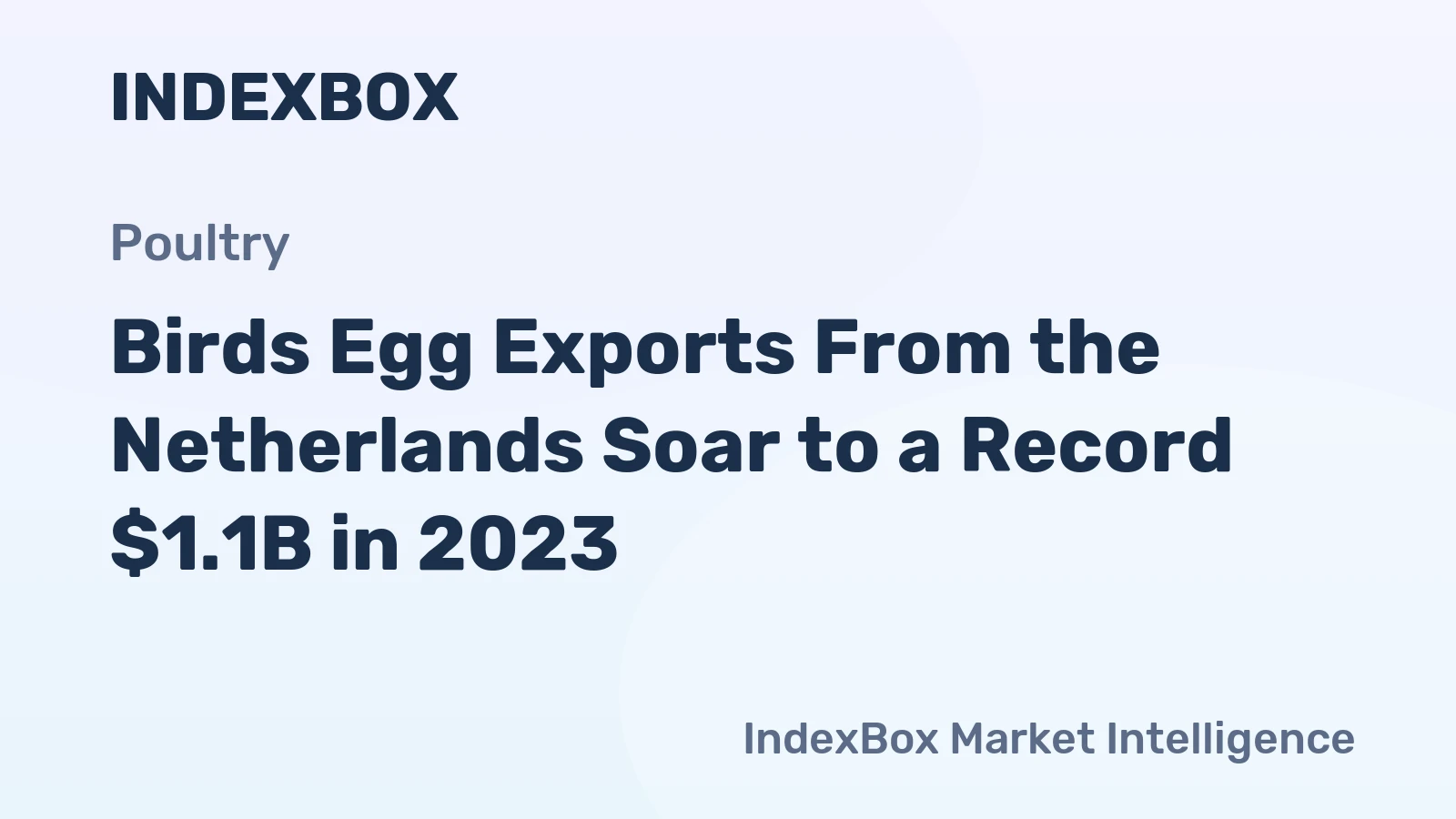Birds Egg Exports From the Netherlands Soar to a Record $1.1B in 2023