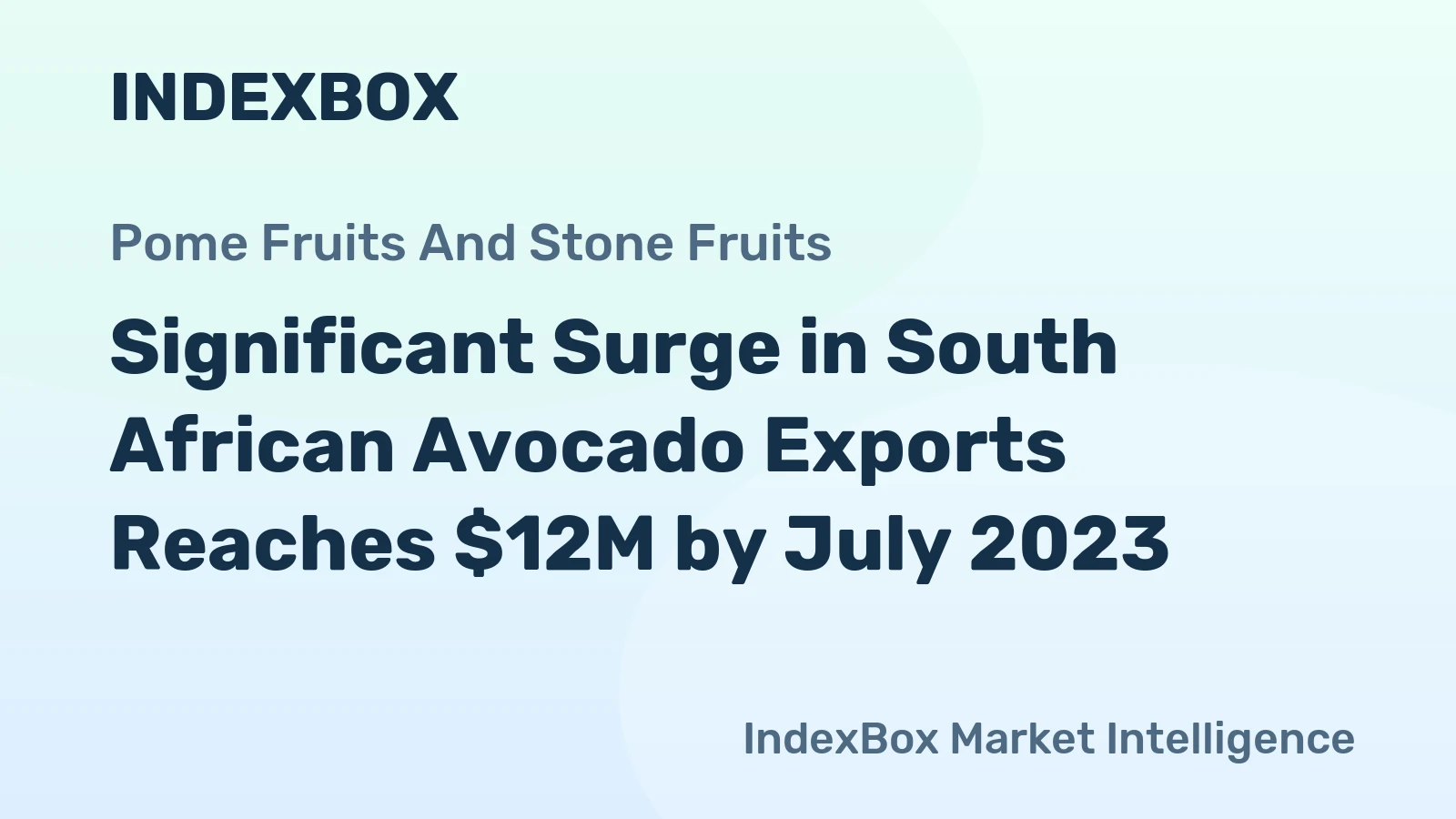 Significant Surge in South African Avocado Exports Reaches $12M by July 2023