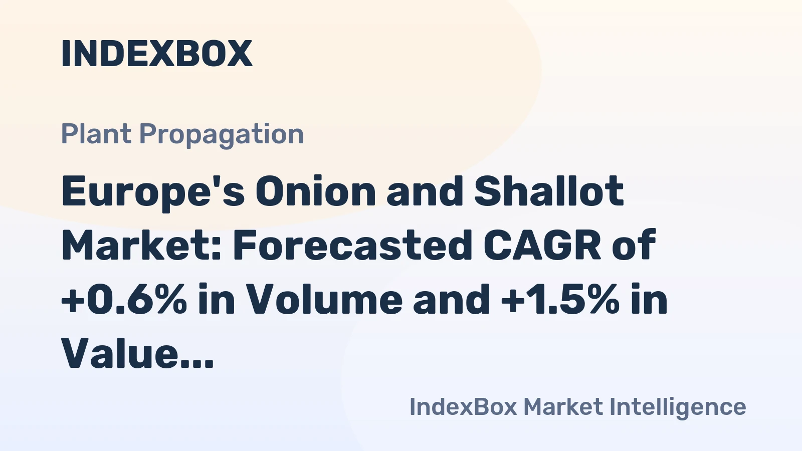 Europe's Onion and Shallot Market: Forecasted CAGR of +0.6% in Volume and +1.5% in Value from 2024 to 2035