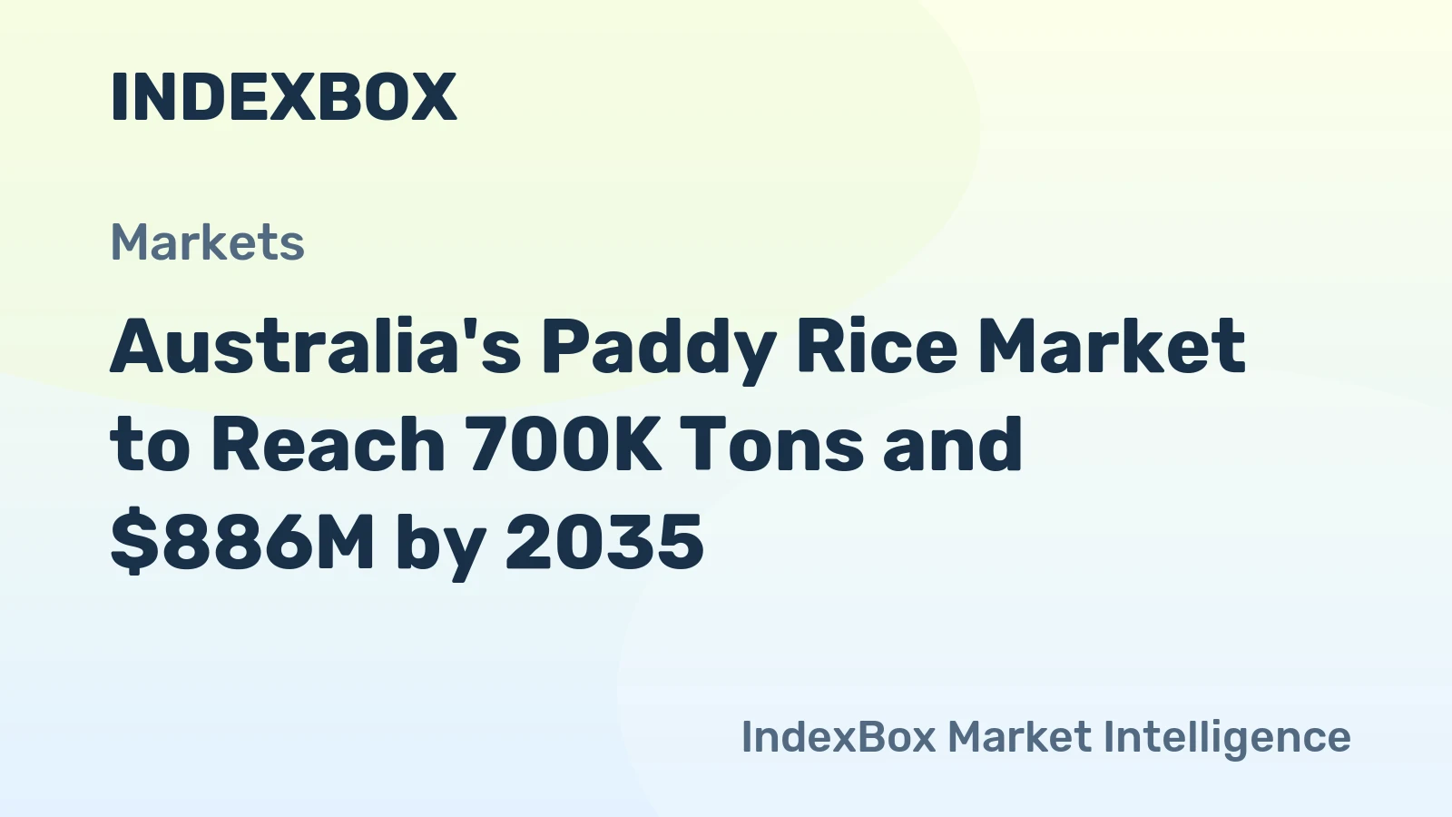 Australia's Paddy Rice Market to Reach 700K Tons and $886M by 2035