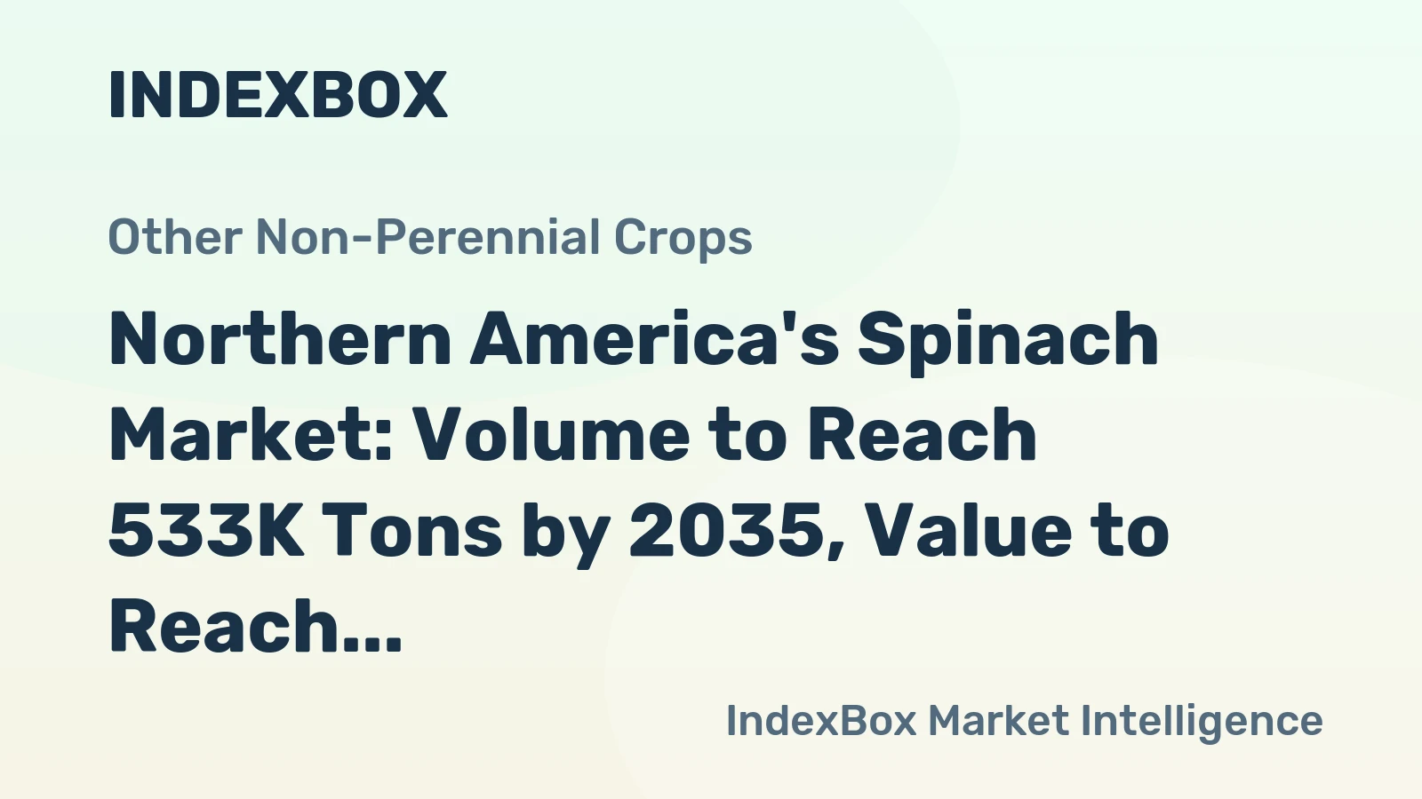 Northern America's Spinach Market: Volume to Reach 533K Tons by 2035, Value to Reach $1.5B