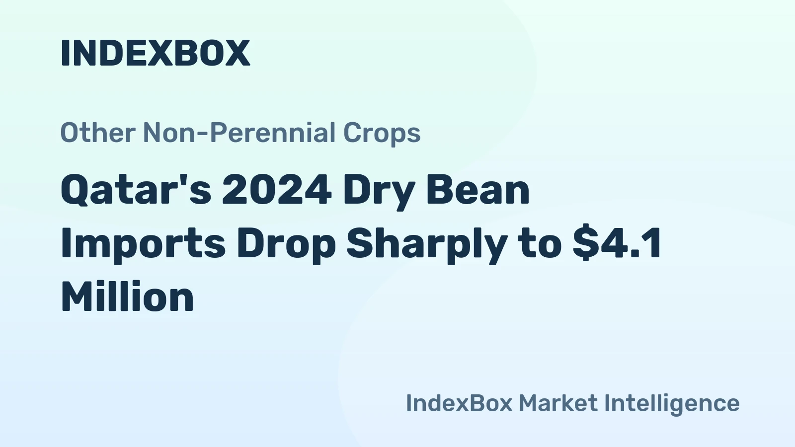 Qatar's 2024 Dry Bean Imports Drop Sharply to $4.1 Million