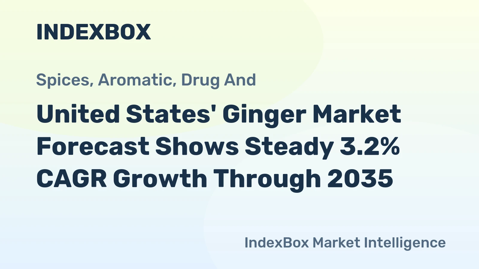 United States' Ginger Market Forecast Shows Steady 3.2% CAGR Growth Through 2035