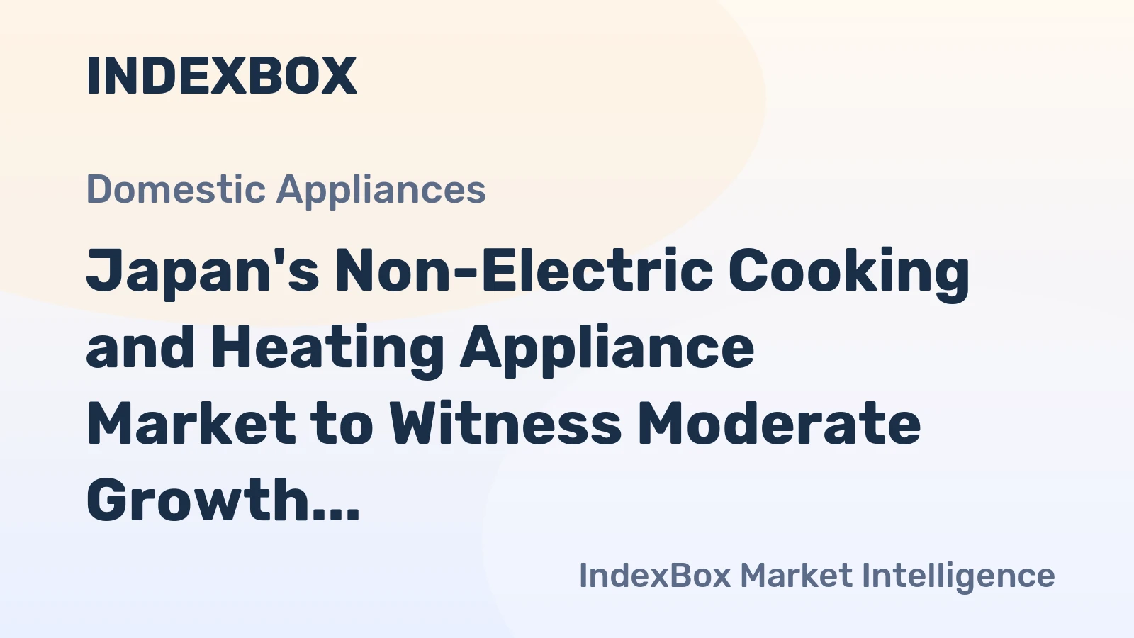 Japan's Non-Electric Cooking and Heating Appliance Market to Witness Moderate Growth with a CAGR of +1.0%