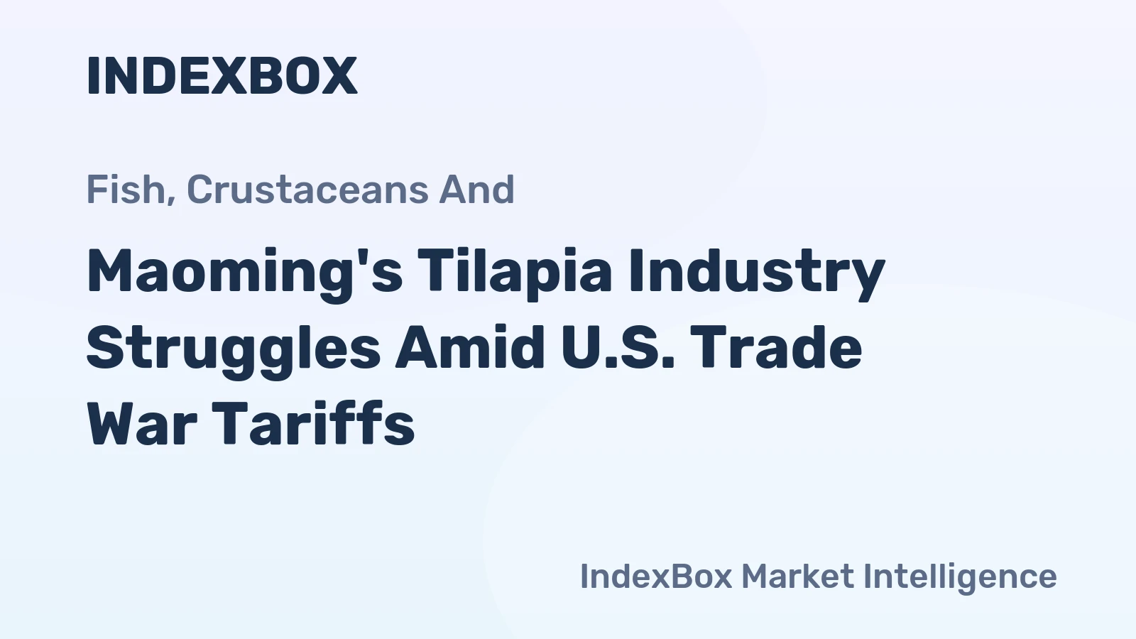 Maoming's Tilapia Industry Struggles Amid U.S. Trade War Tariffs