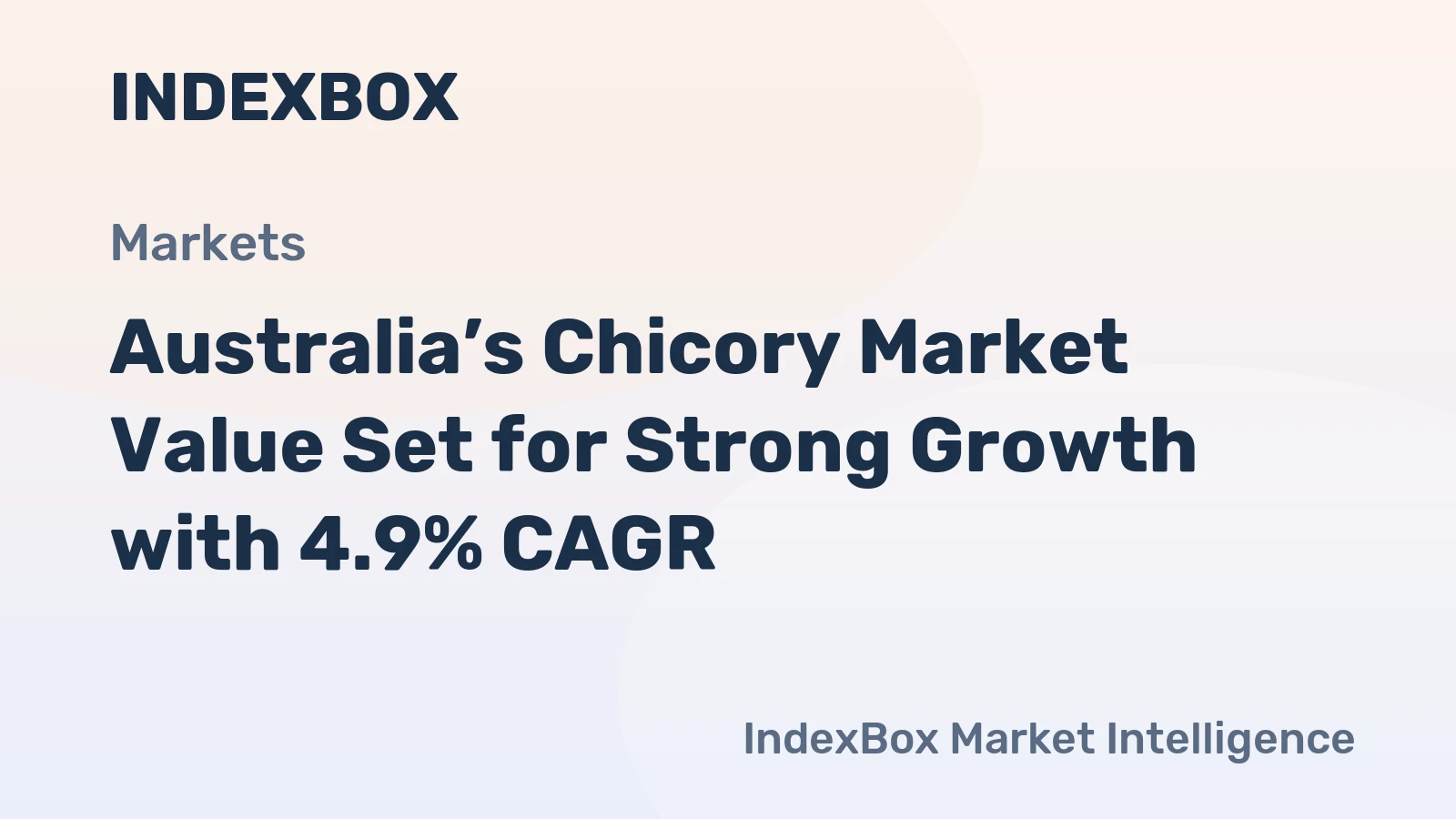 Australia’s Chicory Market Value Set for Strong Growth with 4.9% CAGR