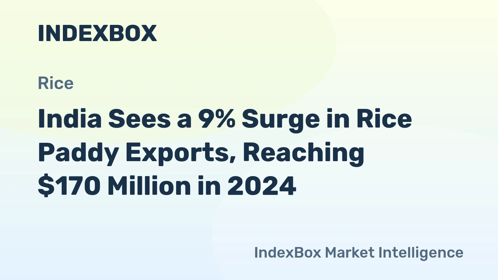India Sees a 9% Surge in Rice Paddy Exports, Reaching $170 Million in 2024