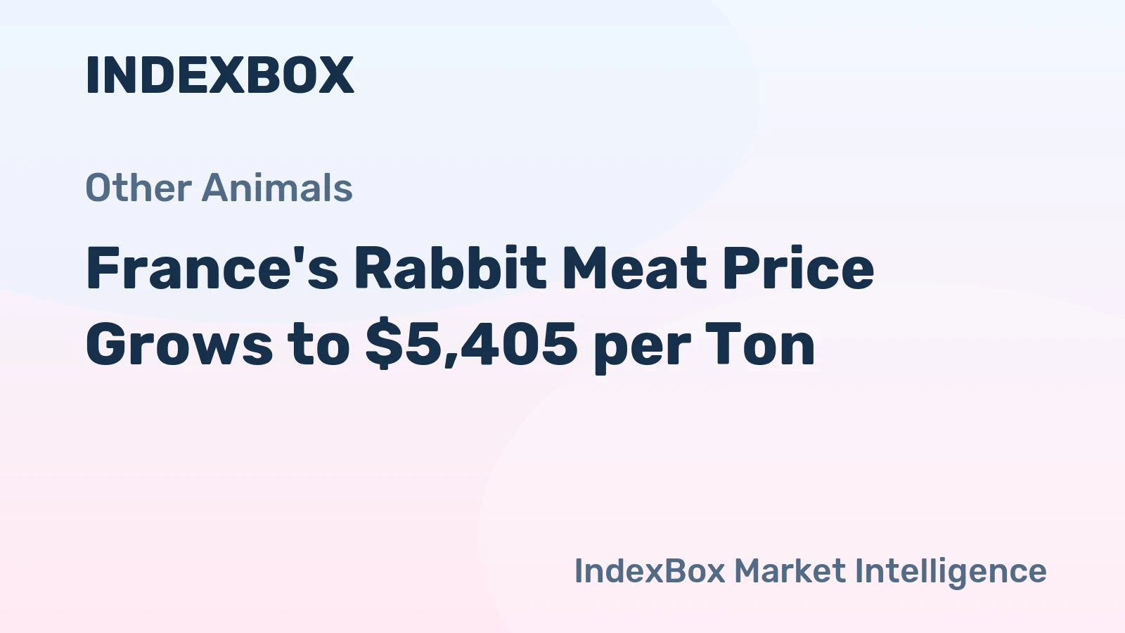France's Rabbit Meat Price Grows to $5,405 per Ton