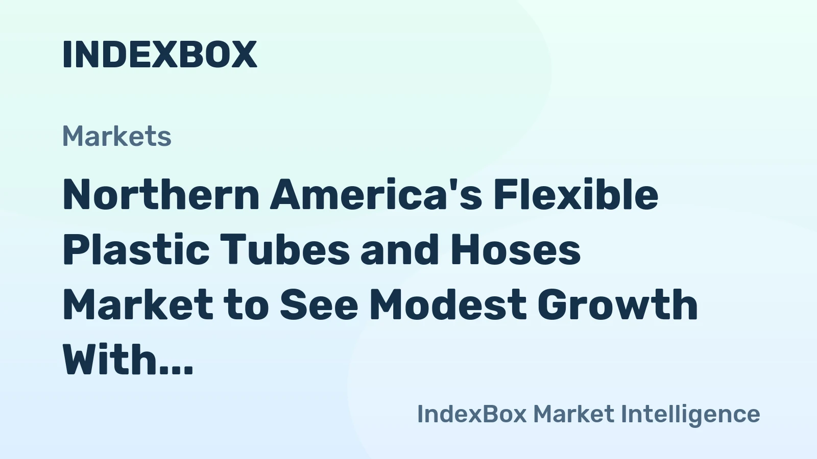 Northern America's Flexible Plastic Tubes and Hoses Market to See Modest Growth With a 0.3% CAGR