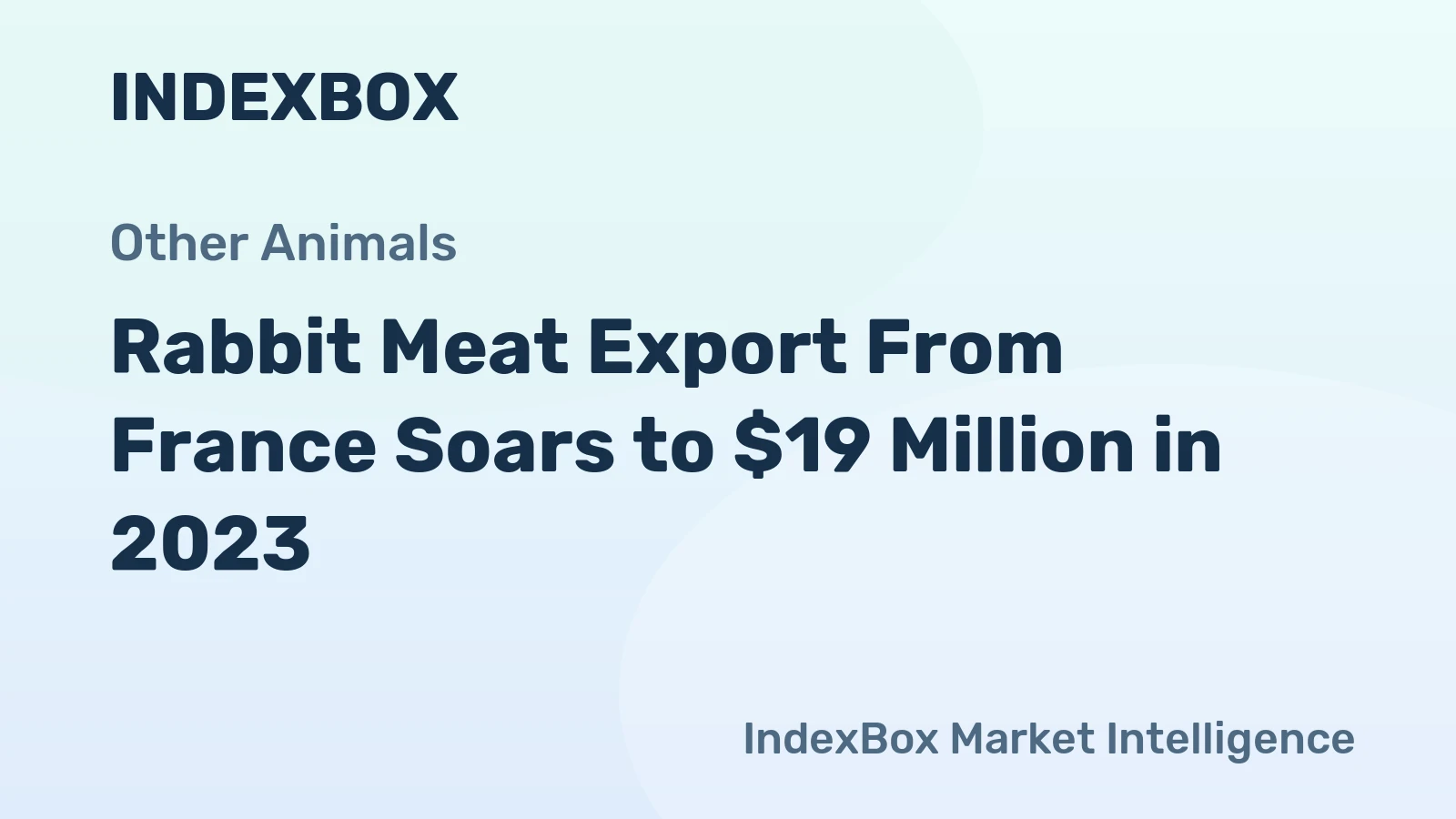 Rabbit Meat Export From France Soars to $19 Million in 2023