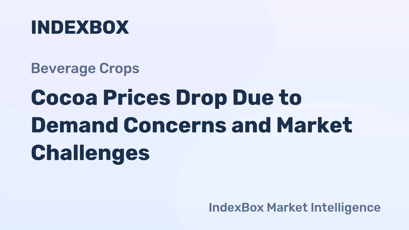 Cocoa Prices Drop Due to Demand Concerns and Market Challenges