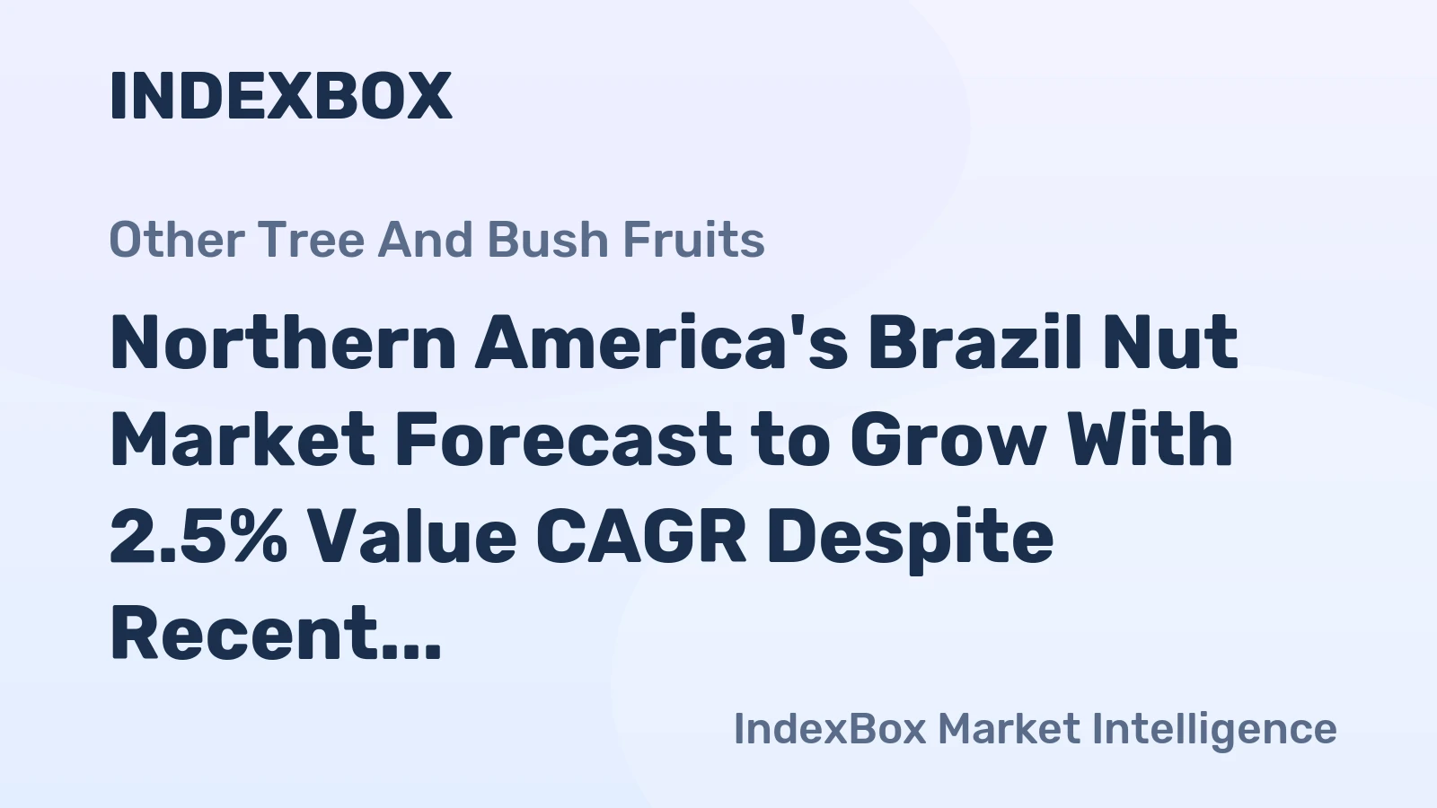 Northern America's Brazil Nut Market Forecast to Grow With 2.5% Value CAGR Despite Recent Contraction