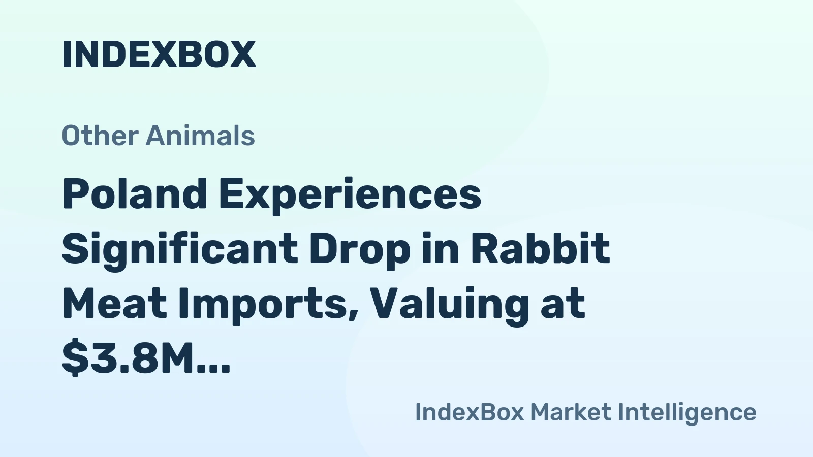 Poland Experiences Significant Drop in Rabbit Meat Imports, Valuing at $3.8M in 2024
