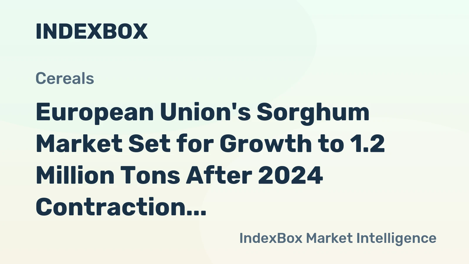 European Union's Sorghum Market Set for Growth to 1.2 Million Tons After 2024 Contraction