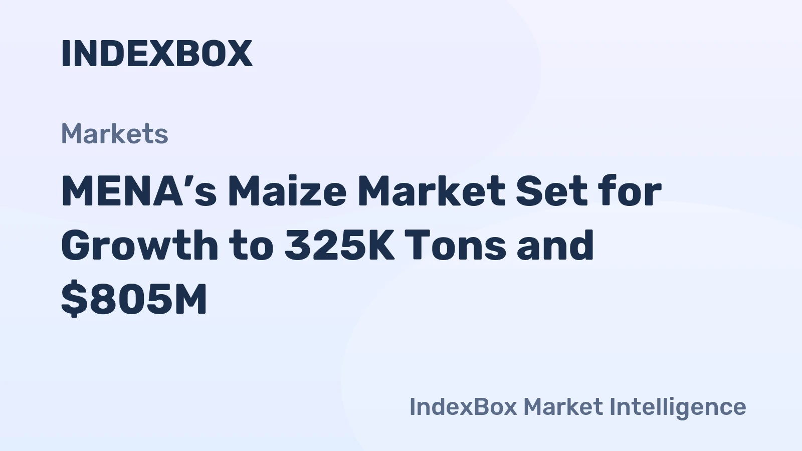 MENA’s Maize Market Set for Growth to 325K Tons and $805M