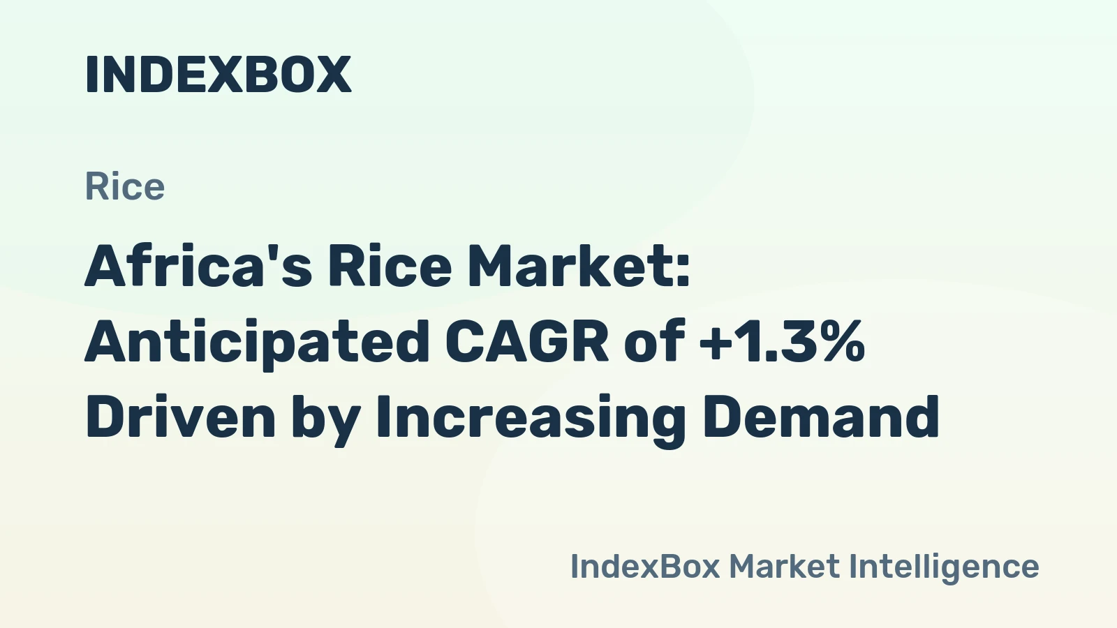 Africa's Rice Market: Anticipated CAGR of +1.3% Driven by Increasing Demand
