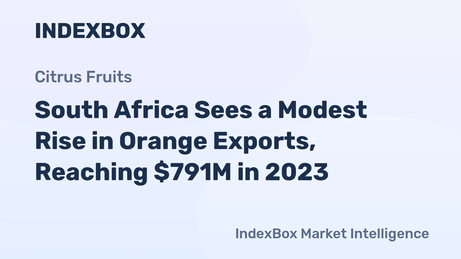 South Africa Sees a Modest Rise in Orange Exports, Reaching $791M in 2023