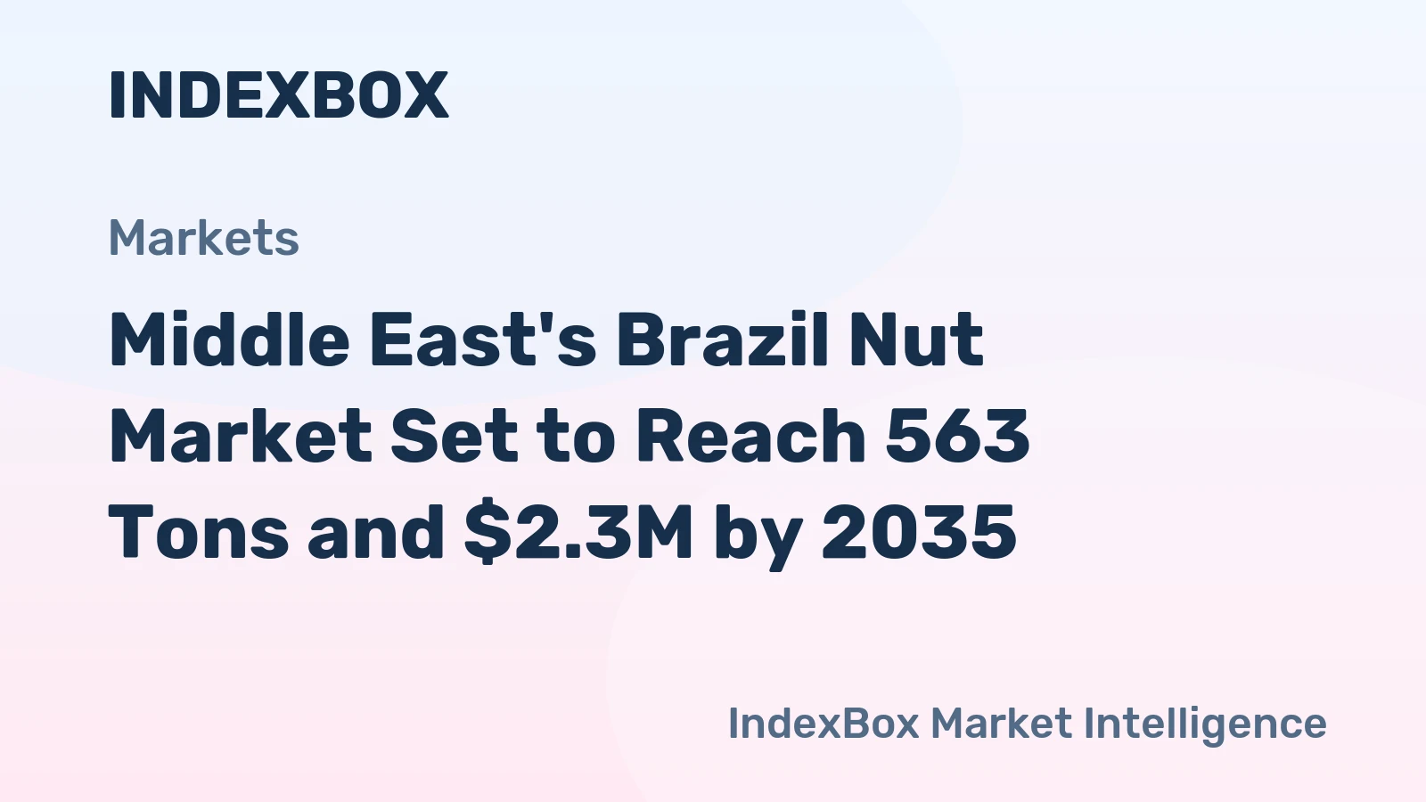 Middle East's Brazil Nut Market Set to Reach 563 Tons and $2.3M by 2035