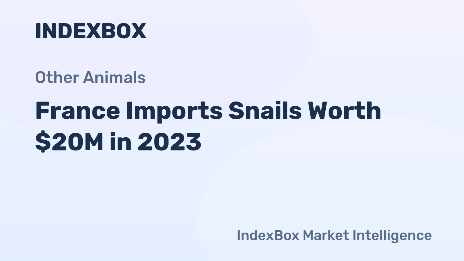 France Imports Snails Worth $20M in 2023