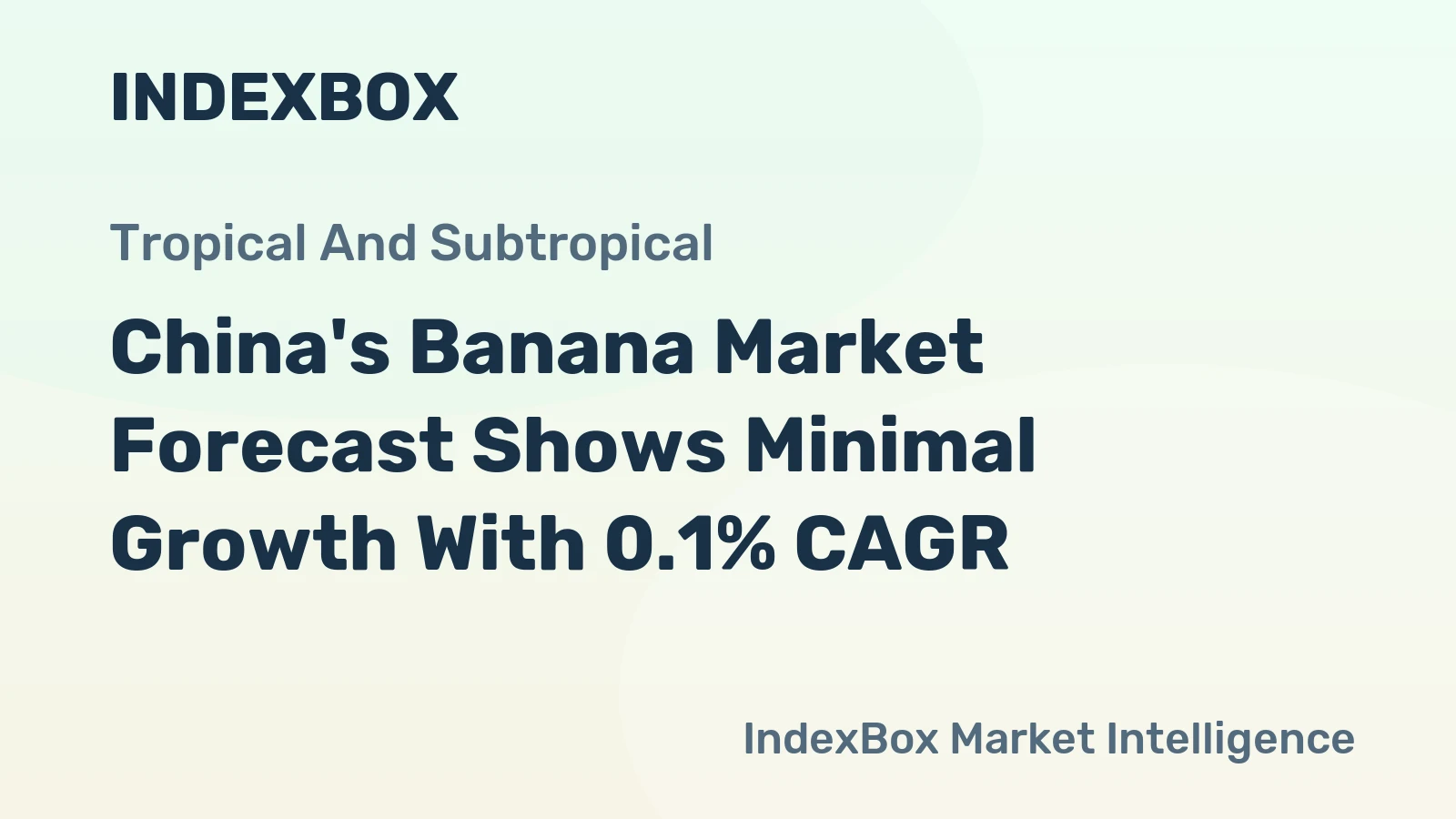China's Banana Market Forecast Shows Minimal Growth With 0.1% CAGR