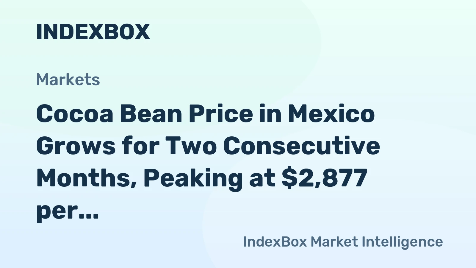 Cocoa Bean Price in Mexico Grows for Two Consecutive Months, Peaking at $2,877 per Ton