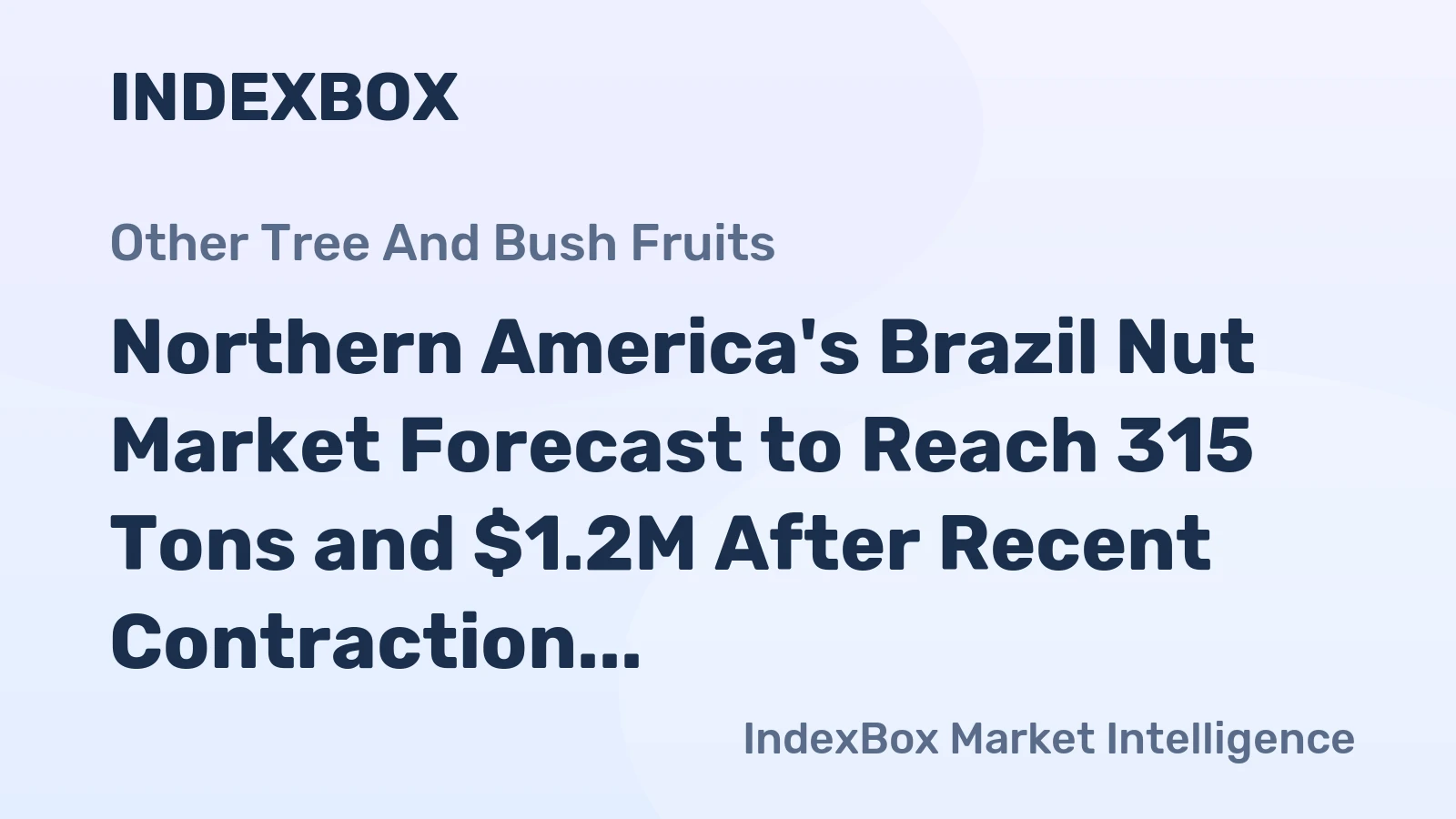 Northern America's Brazil Nut Market Forecast to Reach 315 Tons and $1.2M After Recent Contraction