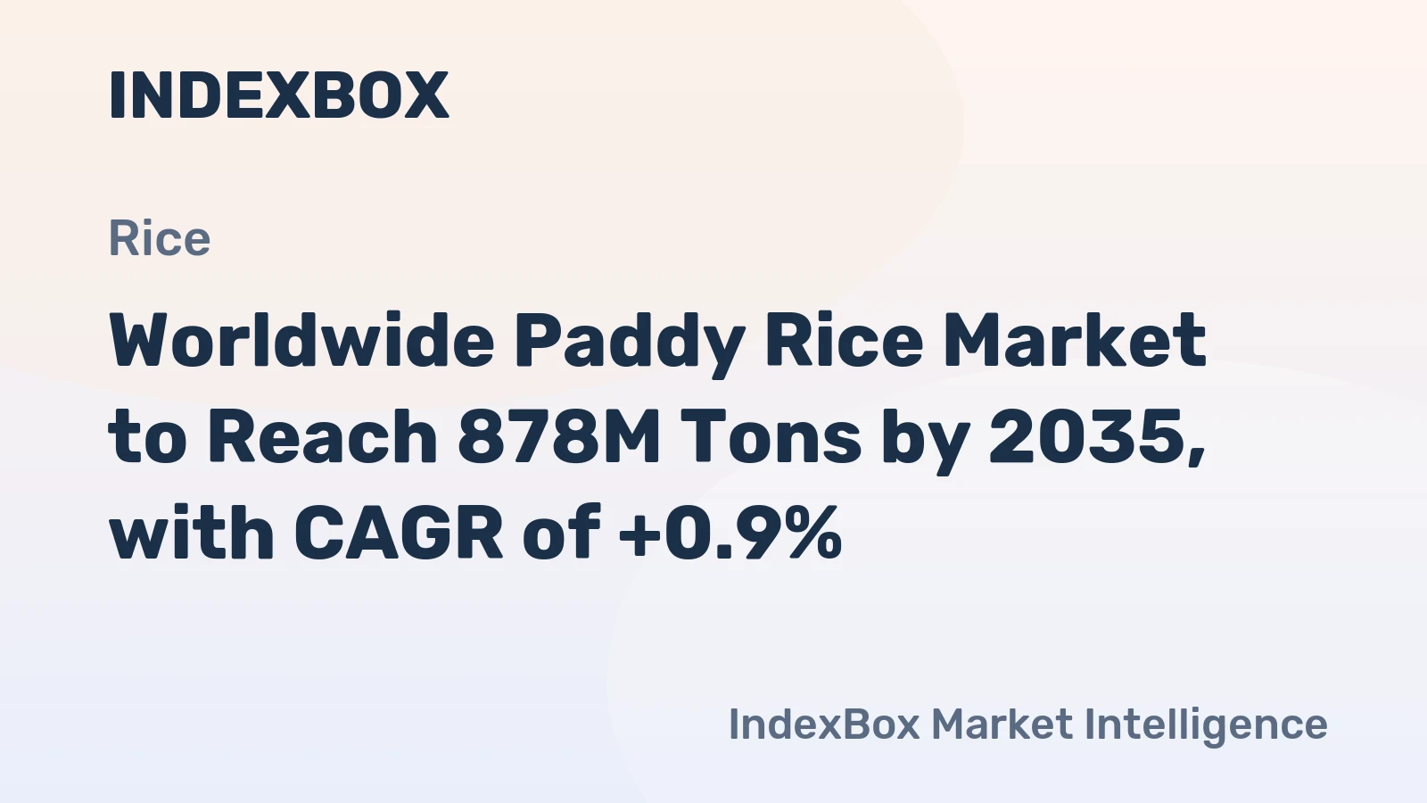 Worldwide Paddy Rice Market to Reach 878M Tons by 2035, with CAGR of +0.9%