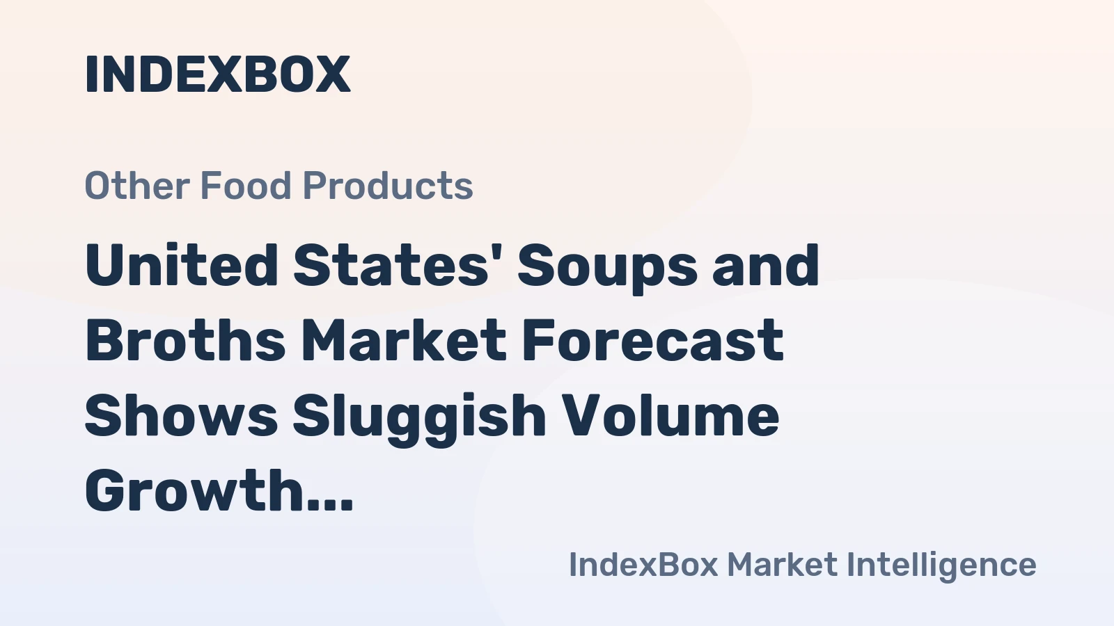 United States' Soups and Broths Market Forecast Shows Sluggish Volume Growth Amid Steady Value Increase