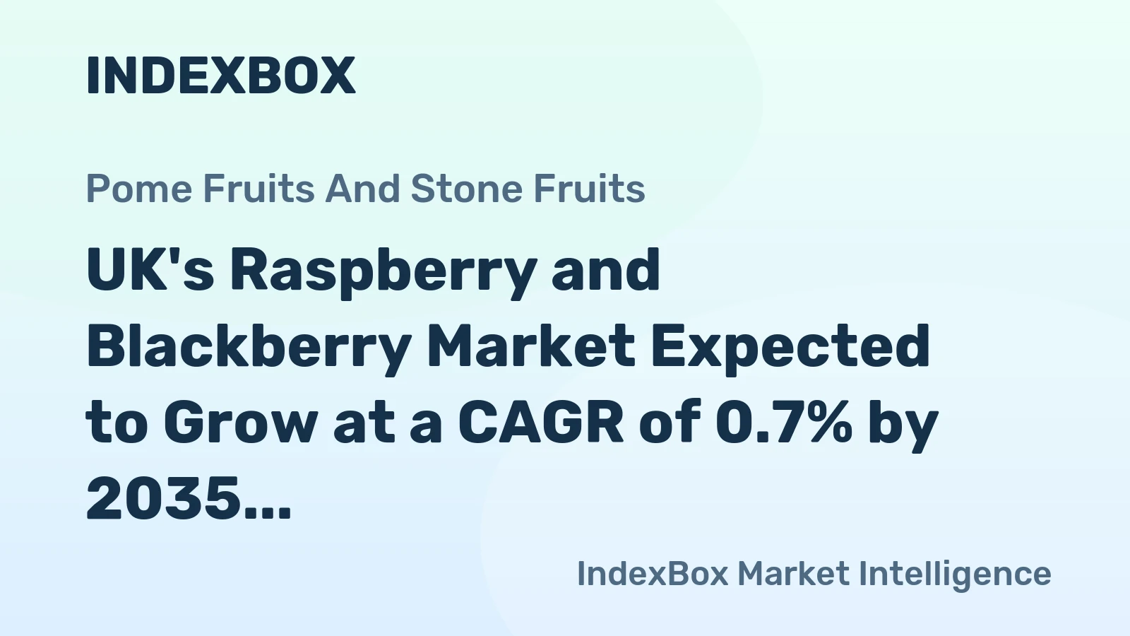 UK's Raspberry and Blackberry Market Expected to Grow at a CAGR of 0.7% by 2035