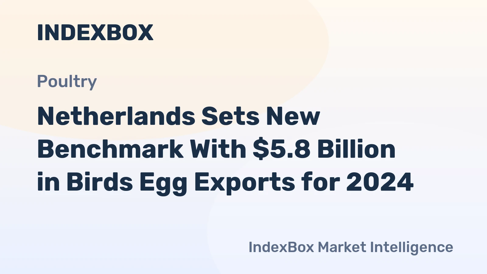 Netherlands Sets New Benchmark With $5.8 Billion in Birds Egg Exports for 2024