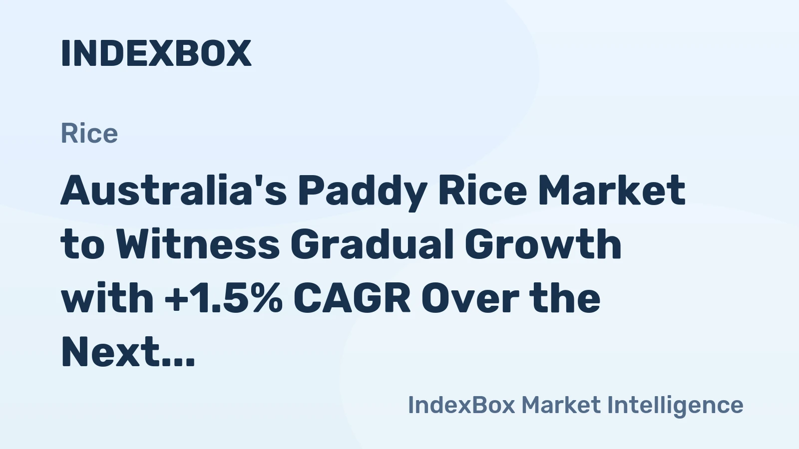 Australia's Paddy Rice Market to Witness Gradual Growth with +1.5% CAGR Over the Next Decade