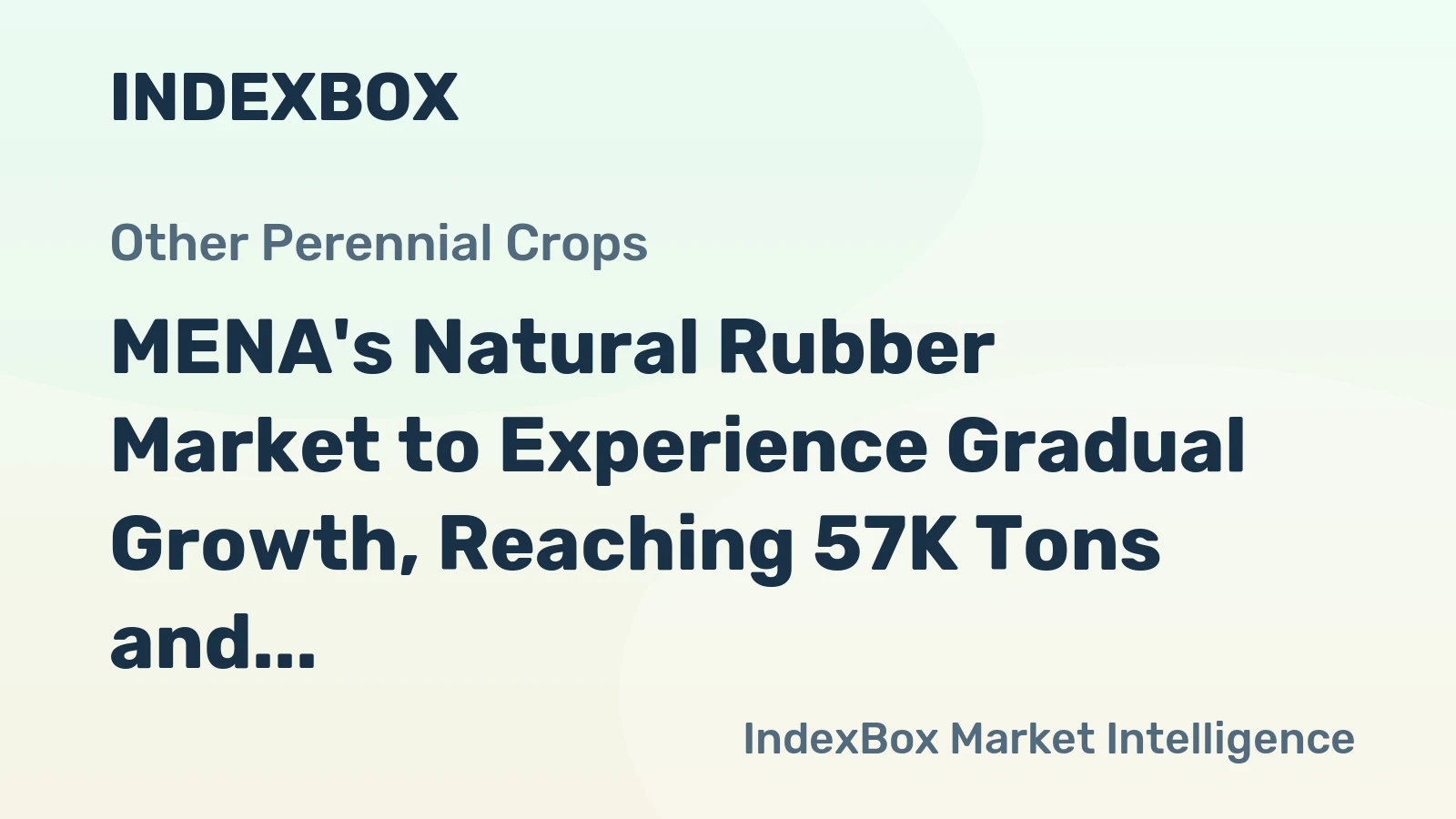 MENA's Natural Rubber Market to Experience Gradual Growth, Reaching 57K Tons and $91M by 2035