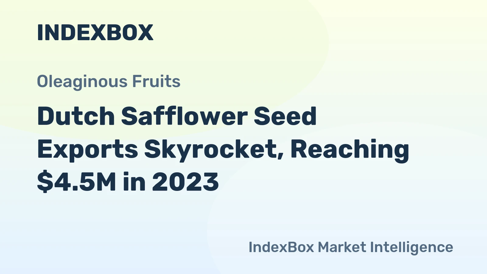 Dutch Safflower Seed Exports Skyrocket, Reaching $4.5M in 2023