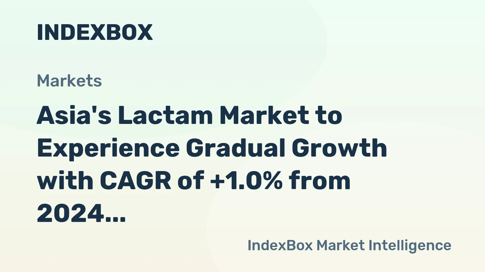 Asia's Lactam Market to Experience Gradual Growth with CAGR of +1.0% from 2024 to 2035