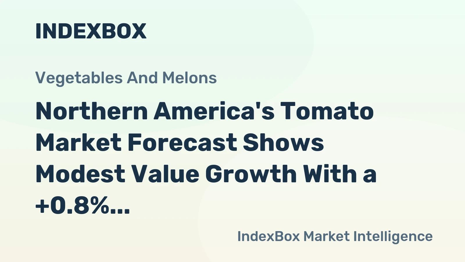 Northern America's Tomato Market Forecast Shows Modest Value Growth With a +0.8% CAGR