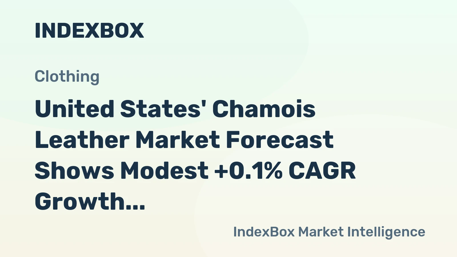 United States' Chamois Leather Market Forecast Shows Modest +0.1% CAGR Growth Through 2035