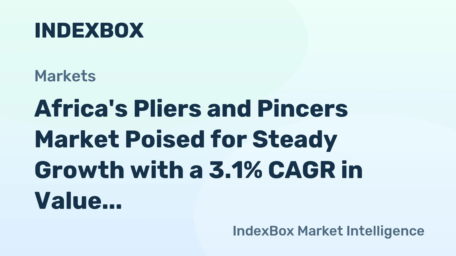 Africa's Pliers and Pincers Market Poised for Steady Growth with a 3.1% CAGR in Value