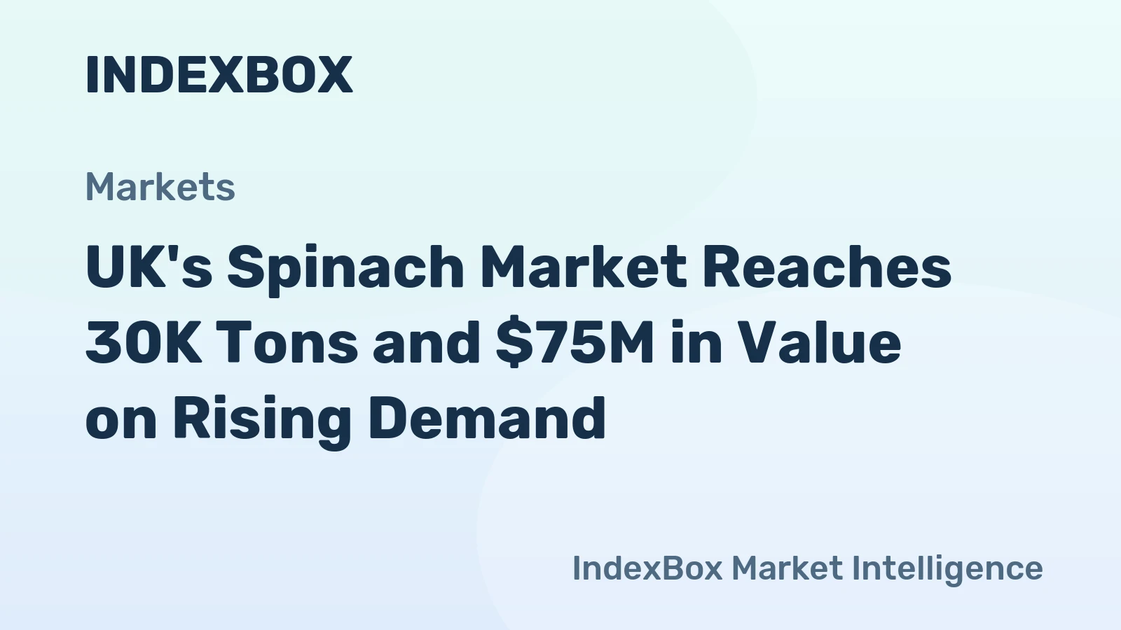 UK's Spinach Market Reaches 30K Tons and $75M in Value on Rising Demand