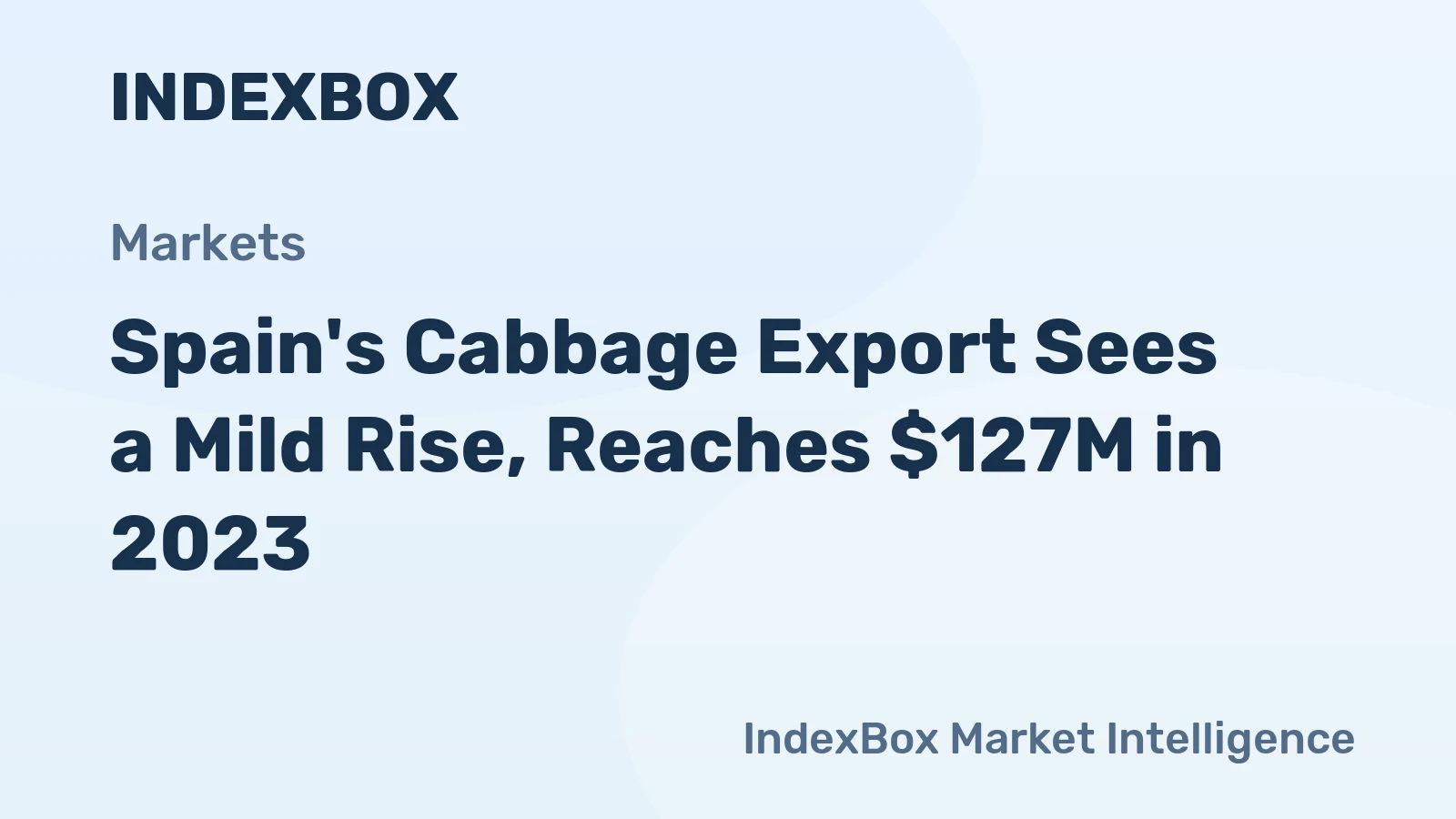 Spain's Cabbage Export Sees a Mild Rise, Reaches $127M in 2023