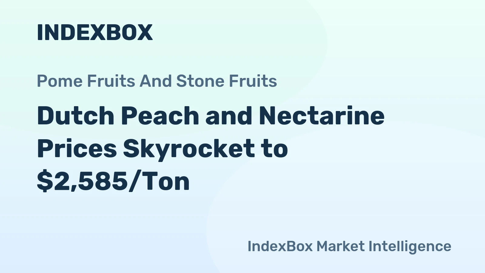 Dutch Peach and Nectarine Prices Skyrocket to $2,585/Ton