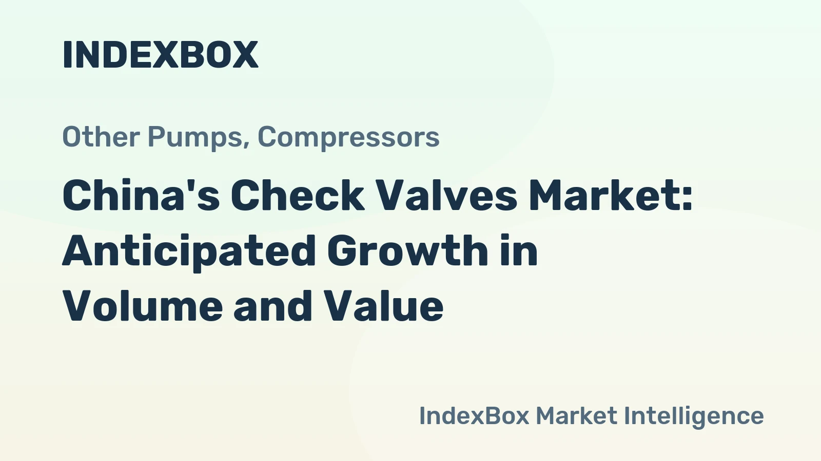 China's Check Valves Market: Anticipated Growth in Volume and Value