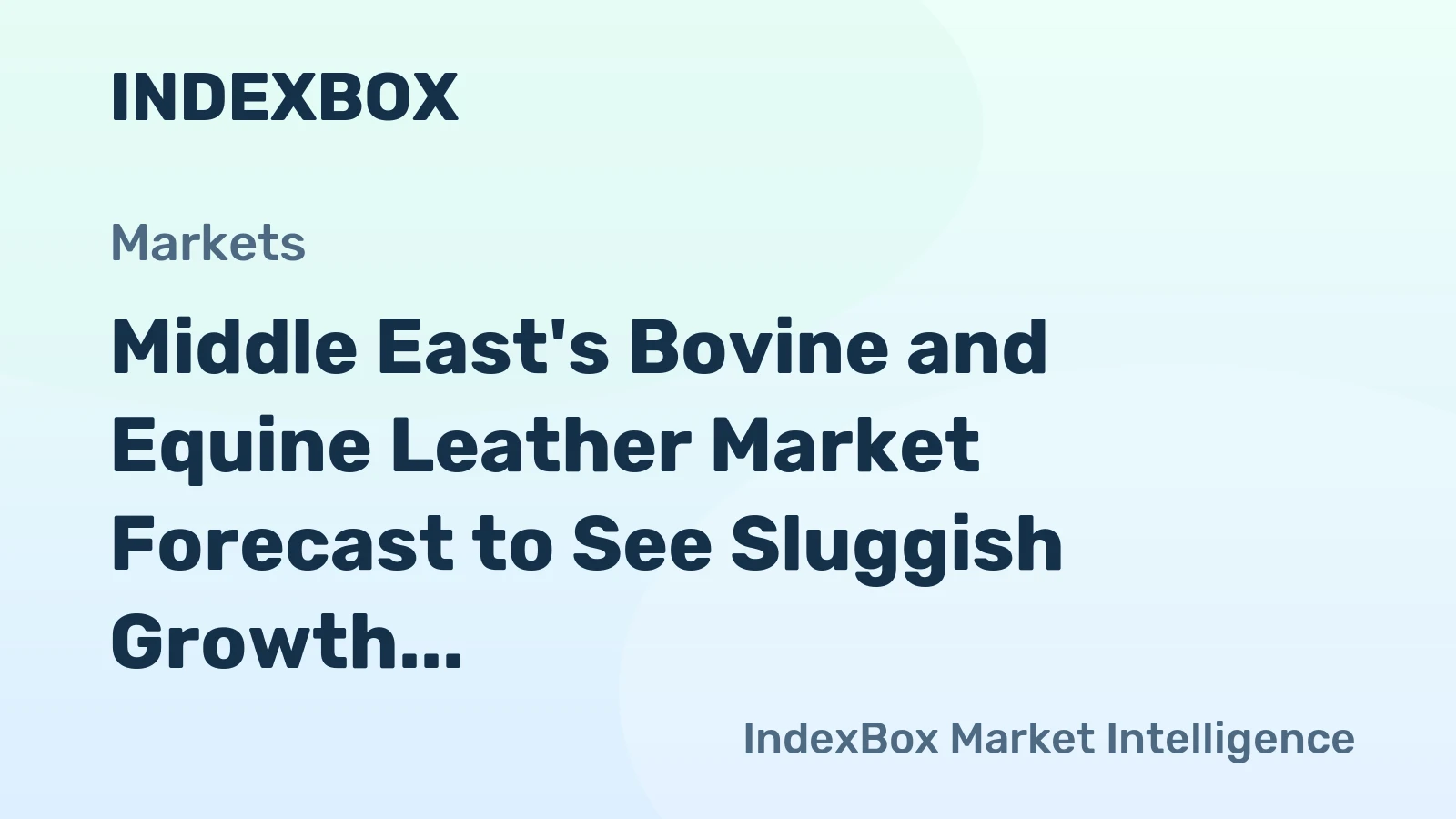 Middle East's Bovine and Equine Leather Market Forecast to See Sluggish Growth With a +0.8% CAGR