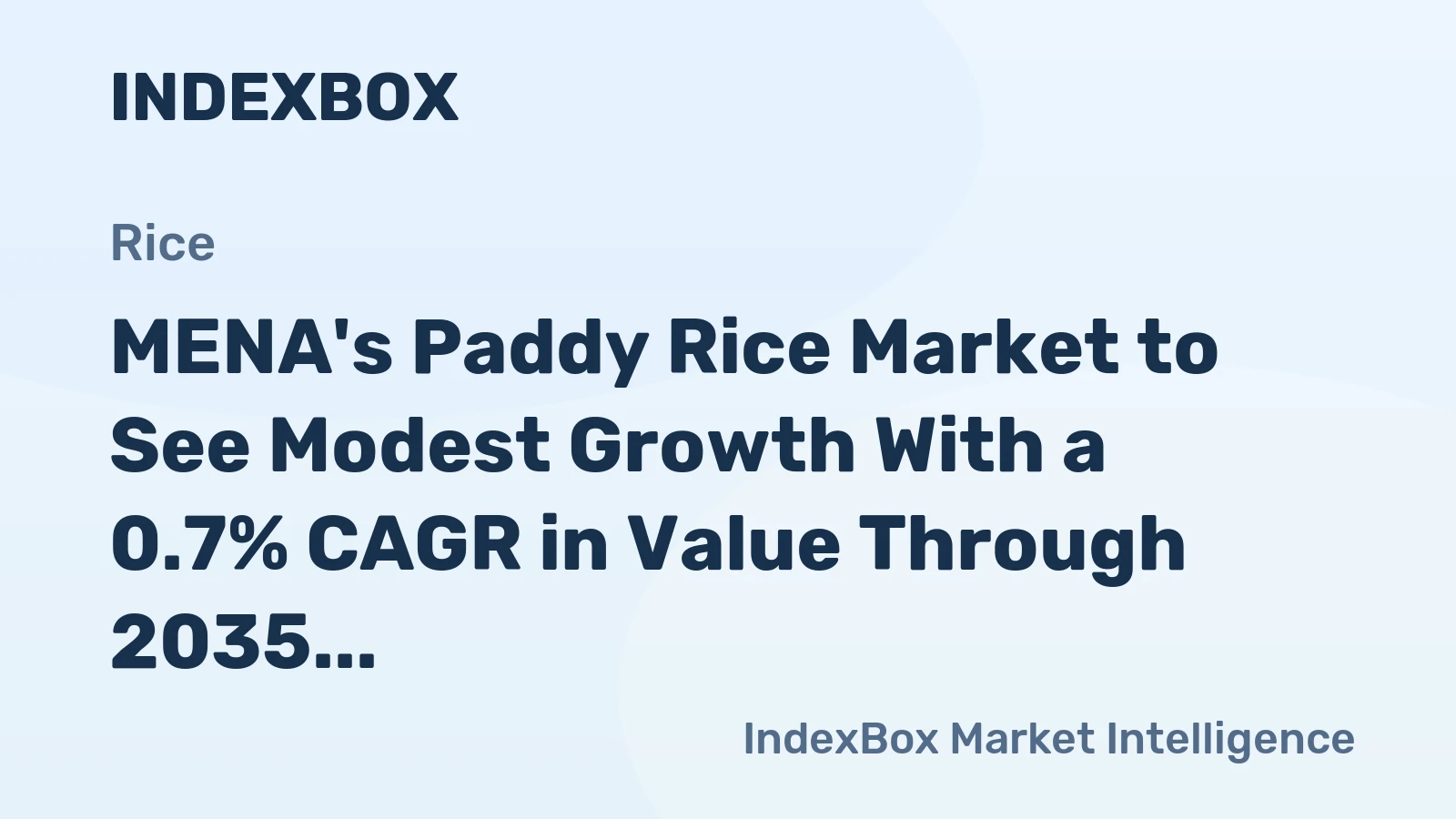 MENA's Paddy Rice Market to See Modest Growth With a 0.7% CAGR in Value Through 2035