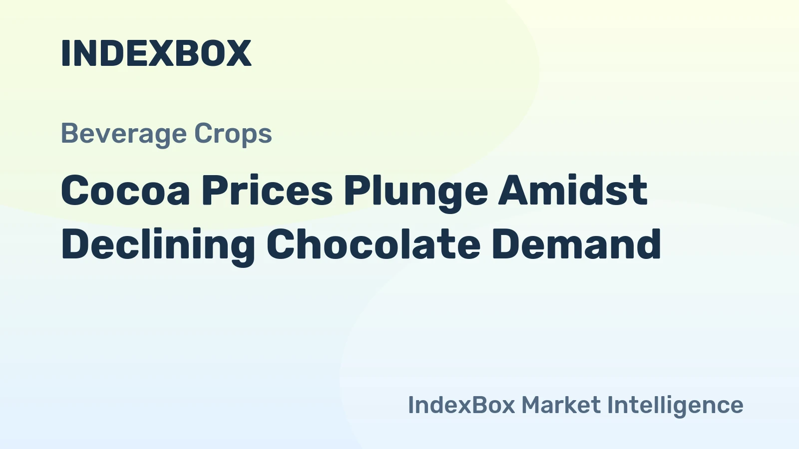 Cocoa Prices Plunge Amidst Declining Chocolate Demand
