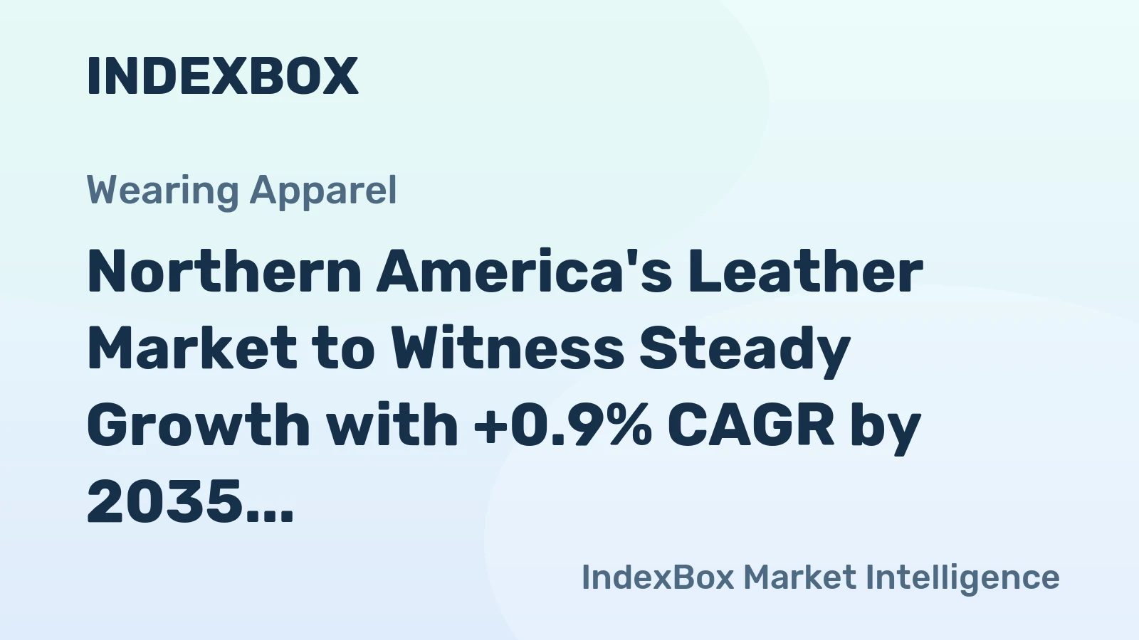 Northern America's Leather Market to Witness Steady Growth with +0.9% CAGR by 2035